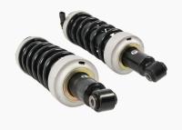 China 420512019AK 420512020AK Rear Suspension Shock Struts with Magnetic Ride Control For Audi R8 V8 4.2L 5.2L 2007-2015 for sale