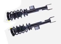 China 1044369-91-D 1044369-00-E Front Left Right Shock Absorber Struts Fit for Tesla Model 3 M3 RWD 2017-2021 for sale
