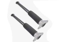China 1044461-92-C 1044461-02-B 1044461-01-E Rear Shock Absorber Assembly For Tesla Model 3 Sedan AWD RWD 2017-2021 for sale