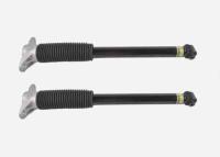 China 1044461-92-C 1044461-02-B 1044461-01-E Rear Shock Absorber Assembly For Tesla Model 3 Sedan AWD RWD 2017-2021 for sale