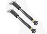 China 1044461-92-C 1044461-02-B 1044461-01-E Rear Shock Absorber Assembly For Tesla Model 3 Sedan AWD RWD 2017-2021 for sale