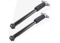 China 1044461-92-C 1044461-02-B 1044461-01-E Rear Shock Absorber Assembly For Tesla Model 3 Sedan AWD RWD 2017-2021 for sale