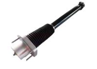 China LR126123 LR081568 Rear Shock Absorber Struts w/o VDS Fit for Land Rover Range Rover Sport Discovery 5 L462 for sale