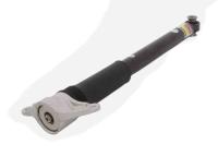 China LR109360 LR108022 For Land Rover Range Rover Velar L560 2017-2021 Rear Shock Absorber with VDS for sale