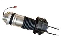China 9J1616037 9J1616038 Front Left or Right Air Suspension Shock Struts w/PASM Fit for Porsche Taycan Y1A Y1B Y1C GTS 2020- for sale