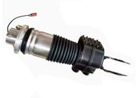 China 9J1616037 9J1616038 Front Left or Right Air Suspension Shock Struts w/PASM Fit for Porsche Taycan Y1A Y1B Y1C GTS 2020- for sale
