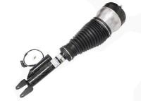China Front L/R Air Suspension Shock Absorber For Mercedes Benz W220 C217 A2203207613 for sale