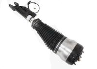 China Front L/R Air Suspension Shock Absorber For Mercedes Benz W220 C217 A2203207613 for sale