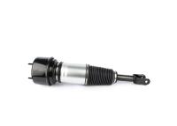China F308609102 Air Suspension Strut Shock Absorber For 2004-2007 Jaguar XJ8 XJR Rear Left And Right for sale