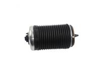China Rear Air Bag Suspension For Audi A6 / S6 A7 / S7 4G0616001T 4G0616002T for sale