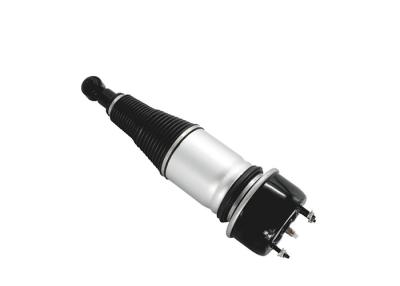 China OEM Rebuild Air Suspension Shock Absorber For Jaguar XJ V8 Rear Left And Right Side F308609102 for sale