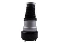 China Auto Air Suspension Spring Repair Kit Front Left And Right Side For Mercedes Benz W221 A2213204913 for sale
