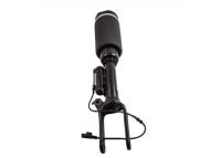 China A2513203013 Front Air Suspension Shock Strut W/ADS For Mercedes - Benz R Class W251 R320 R350 R500 R63 for sale
