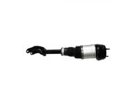 China Air Suspension Shock Absorber For Mercedes X166 GL(S)- Class 13-19 W/O ADS 1663202513 for sale