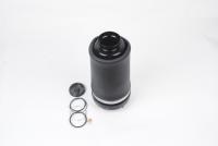 China 1643206013  Air Suspension Spring For Mercedes Benz W164 ML GL Class Front Air Bag for sale