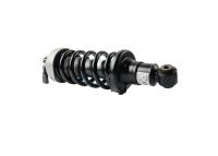 China Rear Coil Spring Shock Absorber Assembly For Audi R8 420 512 020 AL 420 512 019 AL for sale