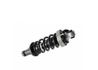 China Rear Coil Spring Shock Absorber Assembly For Audi R8 420 512 020 AL 420 512 019 AL for sale