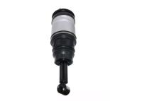 China Rear Air Spring Suspension Strut Shock Absorber For Land Rover Sport LR3 RPD501090 for sale