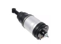 China Rear Air Spring Suspension Strut Shock Absorber For Land Rover Sport LR3 RPD501090 for sale