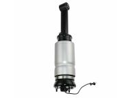 China LR052867 LR019993 Front Air Shock Strut For Land Rover Range Rover Sport for sale
