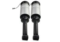 China 1 Pair Front Air Suspension Shock Strut For Range Rover Sport L320 VDS LR018172 LR052866 for sale