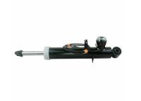 China BMW X5 F15 F85 X6 F16 F86 Air Suspension Shock Absorber Rear Left With VDC 37106875089 for sale