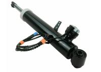 China BMW X5 F15 F85 X6 F16 F86 Air Suspension Shock Absorber Rear Left With VDC 37106875089 for sale
