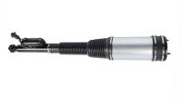 China 2203205013 Mercedes Benz Air Suspension Parts Air Ride Struts For W220 Air Shock Absorber Rear Air Spring Damper for sale