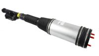 China 2203205013 Mercedes Benz Air Suspension Parts Air Ride Struts For W220 Air Shock Absorber Rear Air Spring Damper for sale