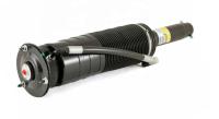 China Front Air Suspension ABC Shock Strut For Mercedes Benz C215 S Class W220 A2203208313 A2203200338 A2203205713 for sale