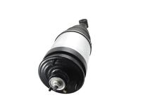China LR3 / 4 / Sport Land Rover Air Suspension Parts / Rear Air Suspension Shock Airmatic Strut RPD000305 for sale