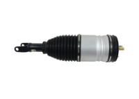 China 04877146AB Front Air Suspension Shock Absorber For Dodge Ram 1500 2013-2019 for sale