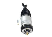 China 04877146AB Front Air Suspension Shock Absorber For Dodge Ram 1500 2013-2019 for sale