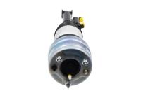 China A2133201901 A2133202001 Mercedes Benz Air Suspension Parts For W213 C238 2016 Front Strut Shock Absorber With ADS for sale