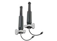 China 84230453 84230454 Rear Shock Absorber Assembly For Cadillac ATS 2013-2020 CTS 2014-2020 for sale