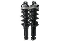 China 420412019AG 420412020AG Front Coil Spring Strut Shock Absorber For Audi R8 2007-2015 for sale