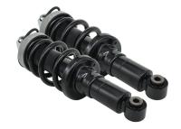 China 420412019AG 420412020AG Front Coil Spring Strut Shock Absorber For Audi R8 2007-2015 for sale