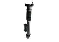 China Rear Left Right Shock Absorber Strut With ADS A2923200600 A2923201100 Fit Mercedes Benz GLE C292 W292 2015-2021 for sale