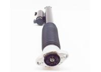 China A2533204500 Rear Strut Shock Absorber For Mercedes - Benz X253 AMG 63 4-Matic for sale