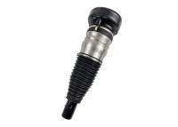 China 4N4616039G 4N4616040G Air Suspension Strut Front Left Or Right Fit Audi A8 D5 Quattro 16-21 for sale