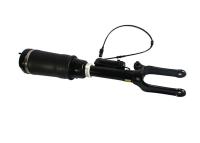 China A2513203013 Air Suspension Shock Absorber Mercedes Benz R320 R350 R500 R Class W251 Airmatic Front for sale