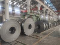 China DLX Pure Nickel Strip 99.8% Ni200/ Ni201 for Battery Spot Welding for sale
