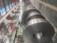China DLX Pure Nickel Strip 99.8% Ni200/ Ni201 for Battery Spot Welding for sale