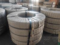 China DLX N4 N6 Pure Nickel Strips with High Conductivity & Low Vapor Pressure for sale