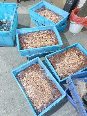 China CuNi10/CuNi30 Copper Nickel Alloy Strip High Conductivity Corrosion Resistant for Marine & Industrial Use for sale