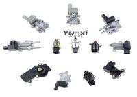 China Car Auto Idle Air Control Valve for Citroen BMW GM Toyota Mitsubishi Hondai Hyundai Kia Mercedes Benz Ford Lada Truck for sale