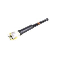 China Factory Auto Parts Rear Suspension Rear Shock Absorber OE NO.2043260200 for Mercedes W204 C200 for sale