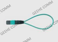 China MPO MTP Fiber Optic Loopback Module 12 Core 24 Core Singlemode Multimode OM3 OM4 for sale