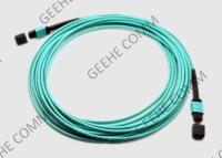 China Aqua 10Gbs Multi Mode 24 Fiber OM4 MPO Patch Cord for sale