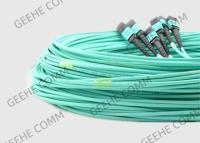 China Multimode 8 Core 100G OM4 10m MPO To MPO Fiber Cable for sale